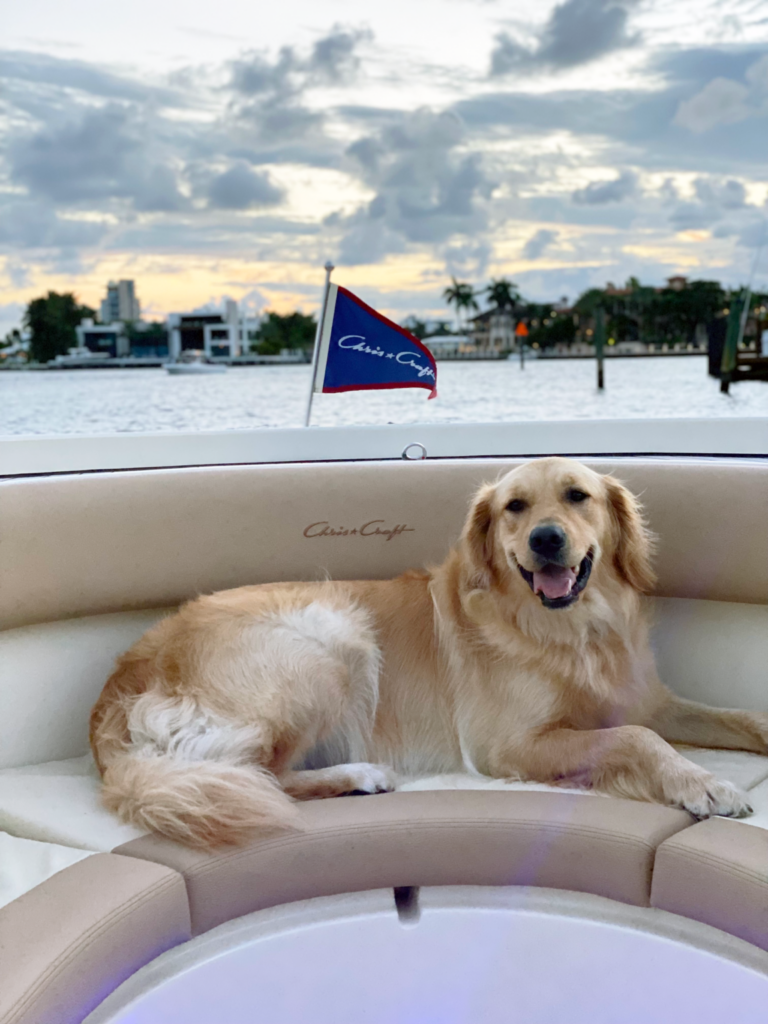 About Us - Josh Dotoli Group